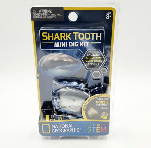 National Geographic Shark Tooth Mini Dig Kit Genuine Fossil STEM New ...