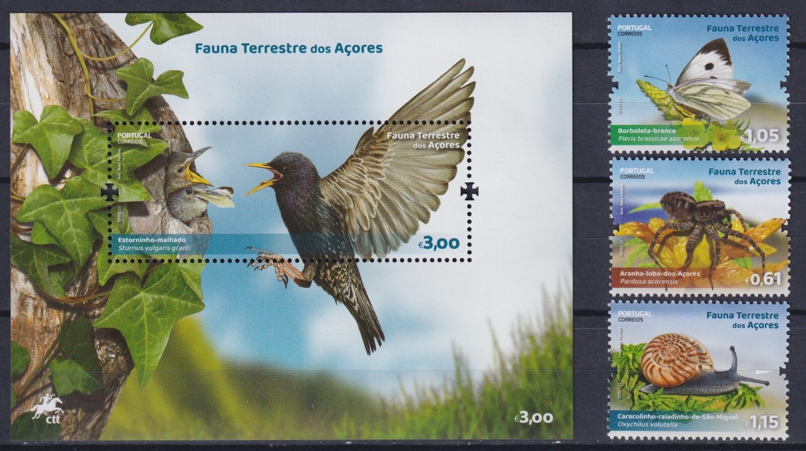 Portugal 2023 Fauna of Azores, Insects, Spiders, Butterflies, Birds MNH ...