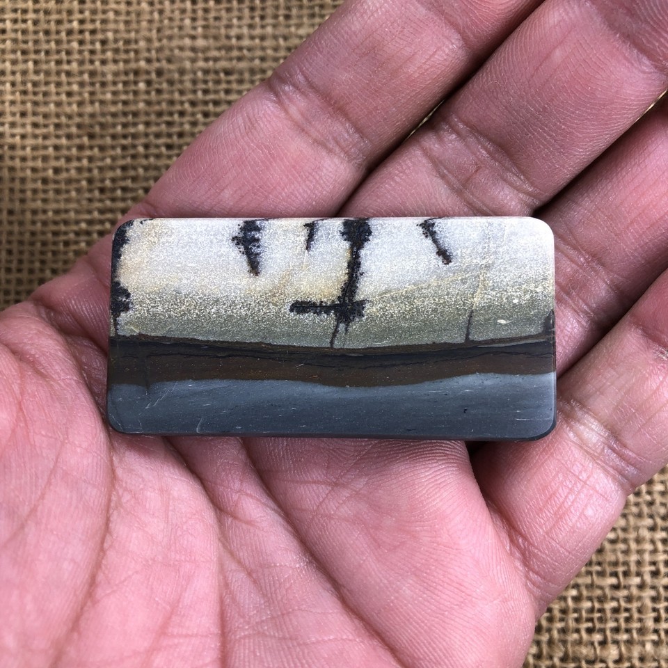 Tree River - Scenic Cherry Creek Jasper pendant Cab or Bead 10209 ...