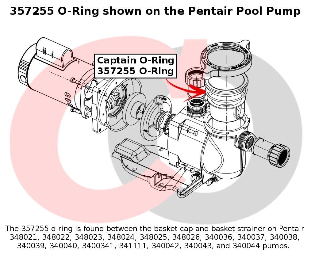 Captain O-Ring Pentek, Pentair 357255 Lid O-Ring Pool/Spa Pump (3 Pack ...