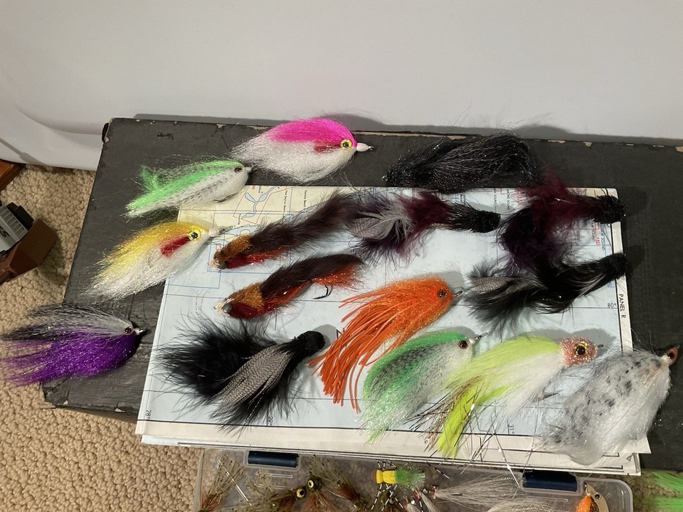 Fly Box With Flies Saltwater Tarpon Bass Streamers Chuggers Clousers ...