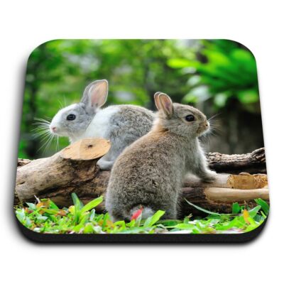 Square MDF Magnets - Cute Grey Bunny Rabbits Animals Pets #8284 | eBay