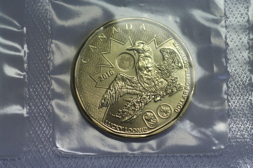 2016 Canada Lucky Loonie Olympics $1 Loonie BU in orig pliofilm | eBay