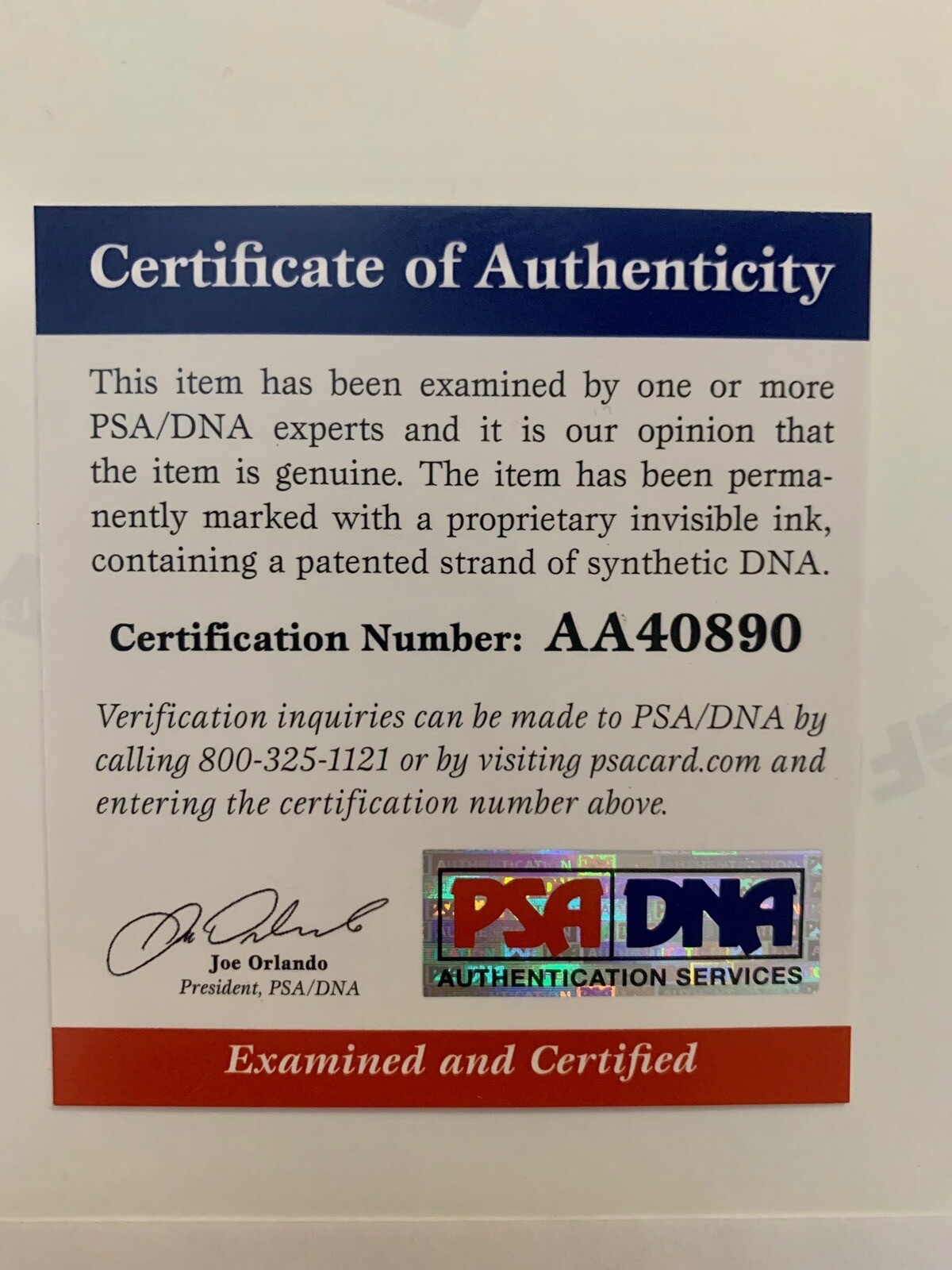 Supermodel CINDY CRAWFORD PSA/DNA Certified Autographed Framed Picture ...