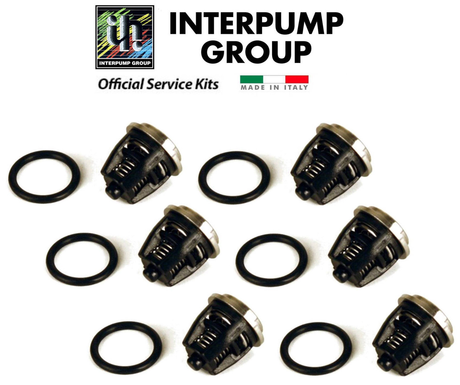 General Pump 8.900-438.0 Pump Check Valves Kit 1 K01 Interpump OEM made ...