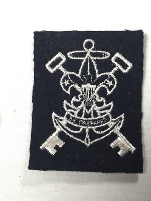 Purser Position blue felt gauze back BSA Activity Patch | eBay