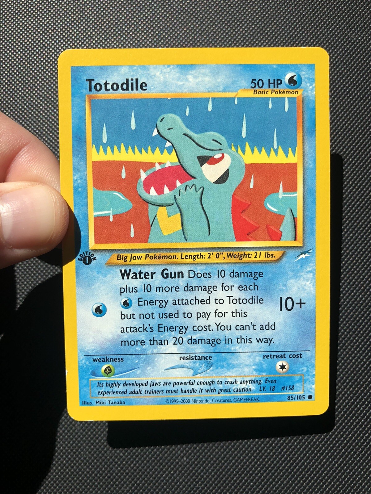Totodile 85/105 1st Edition Common Neo Destiny Pokemon 2002 WOTC ...