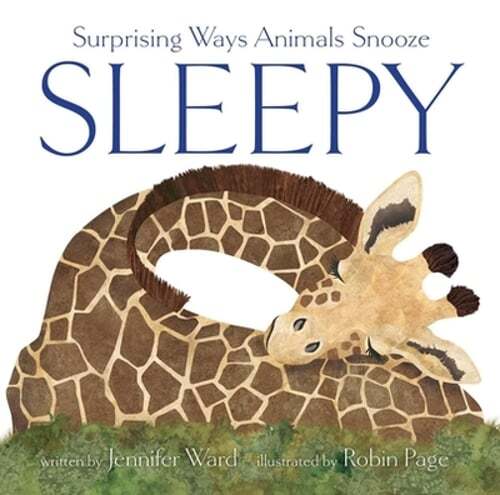 Sleepy: Surprising Ways Animals Snooze by Jennifer Ward: New ...