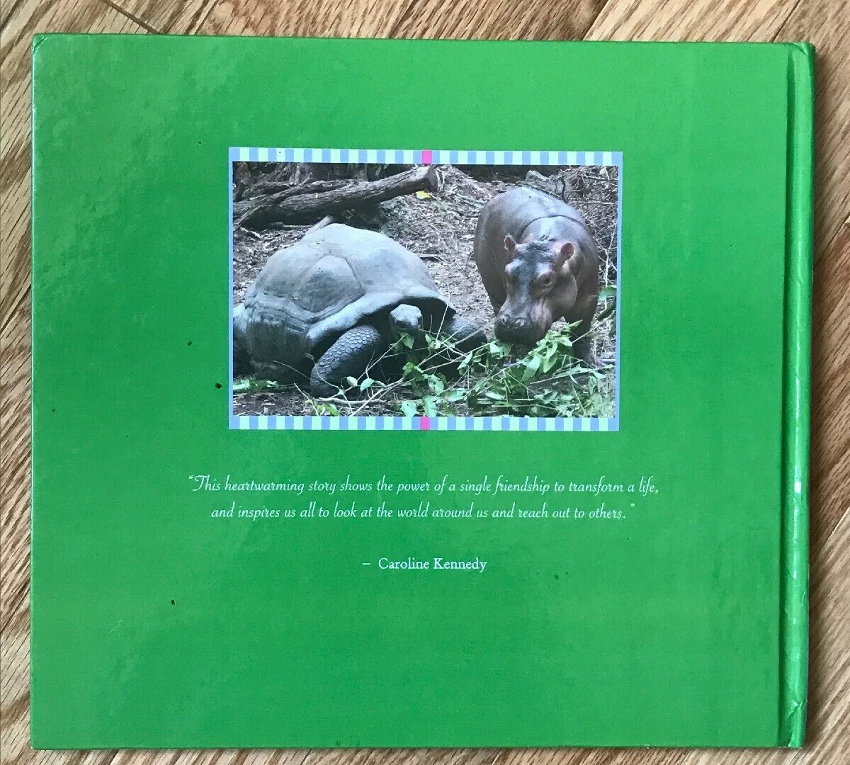 Owen & Mzee Hardcover Illustrated Book The True Story Of A Remarkable ...