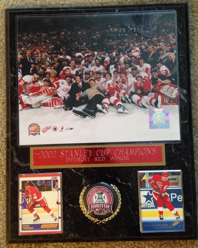 2002 Stanley Cup Champions 2002 Playoffs: Red Wings Hurricanes Series