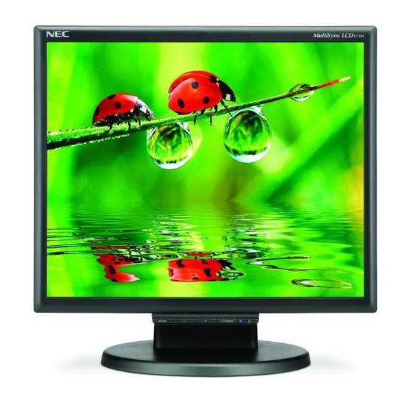 NEC LCD175M-BK LCD Monitor for sale online | eBay