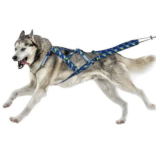 PET ARTIST Dog Weight Pulling Harness,Speed Training,Work Out Dog Sled ...