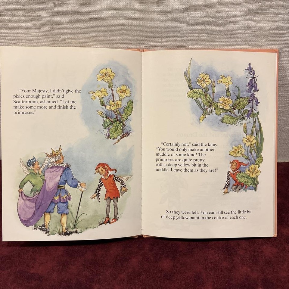 Enid Blyton Botanical Art 1994 Children's Book Good Condition ...
