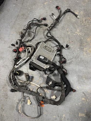 2019-2023 Dodge Charger Scat Pack Engine Harness & Ecu | eBay