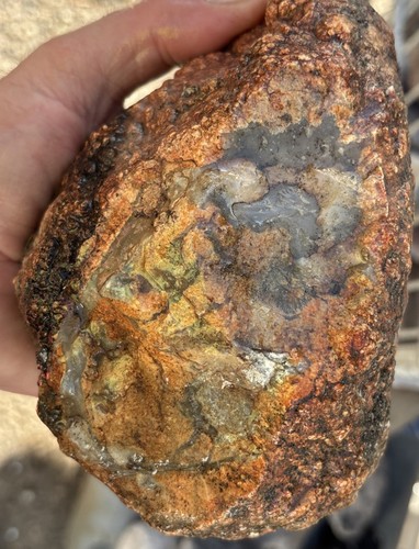 Large Coprolite Fossil dinosaur | eBay