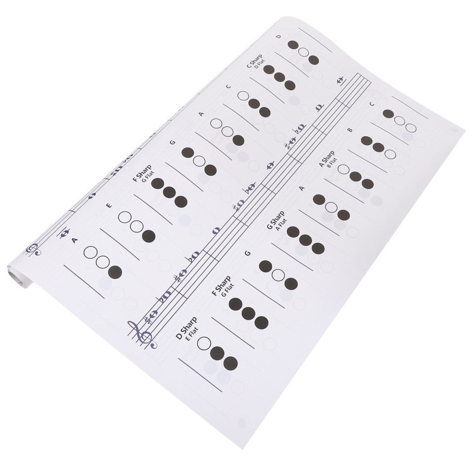 Trumpet Fingering Poster Pocket Chart for Music Chords Beginner ...