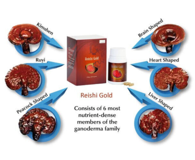 Gano Excel Reishi Gold 100 Excellium Gold 100 Capsules Gano Excel