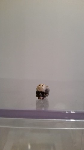 1/12 TBLeague Vampirella Skull | eBay