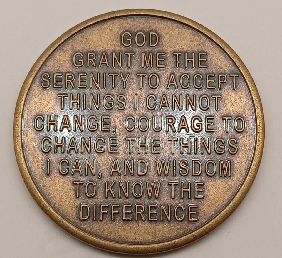 AA One Day At A Time with The Serenity Prayer AA Bronze Recovery ...