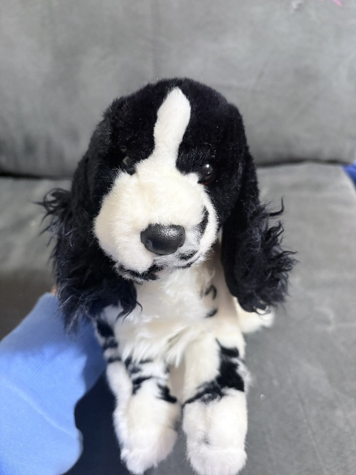Douglas Feathers Springer Spaniel Dog RARE Retired RESERVED! Still ...