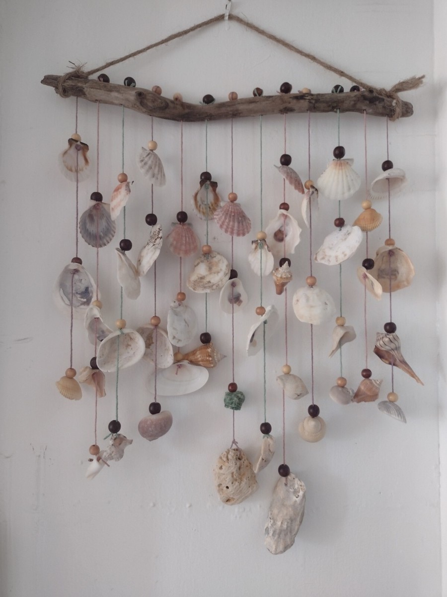 Ocean Shells About 120 PCS Sea Shells Mixed Beach,3 5 Style Shell