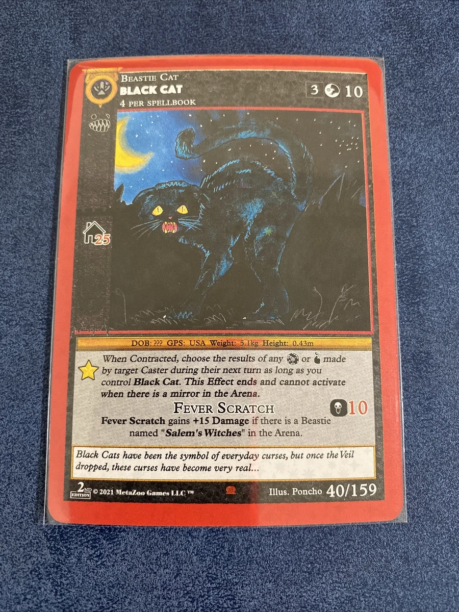 Pokemon Card Black Cat