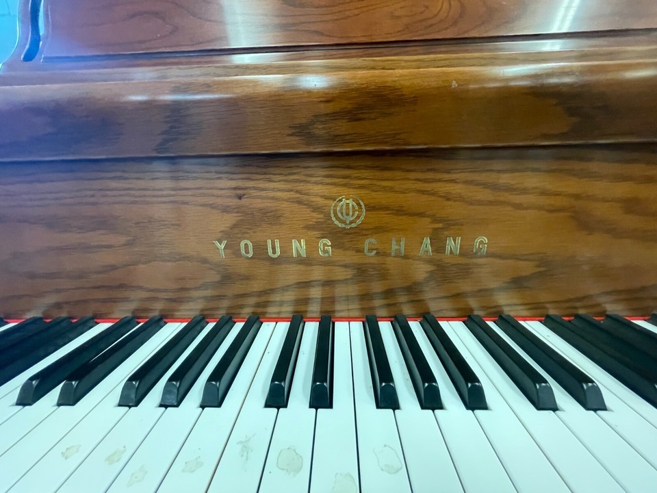 YOUNG CHANG BABY GRAND PIANO FRENCH PROVINCIAL WALNUT W/PLAYER ...
