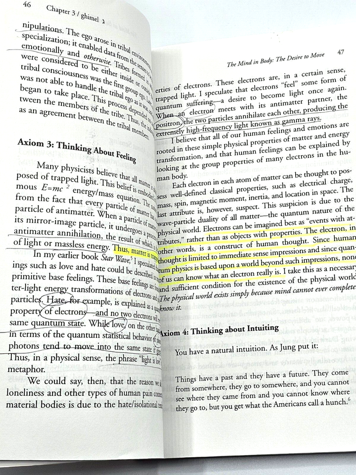 GUC Mind Into Matter: A New Alchemy of Science and Spirit by Fred Alan ...