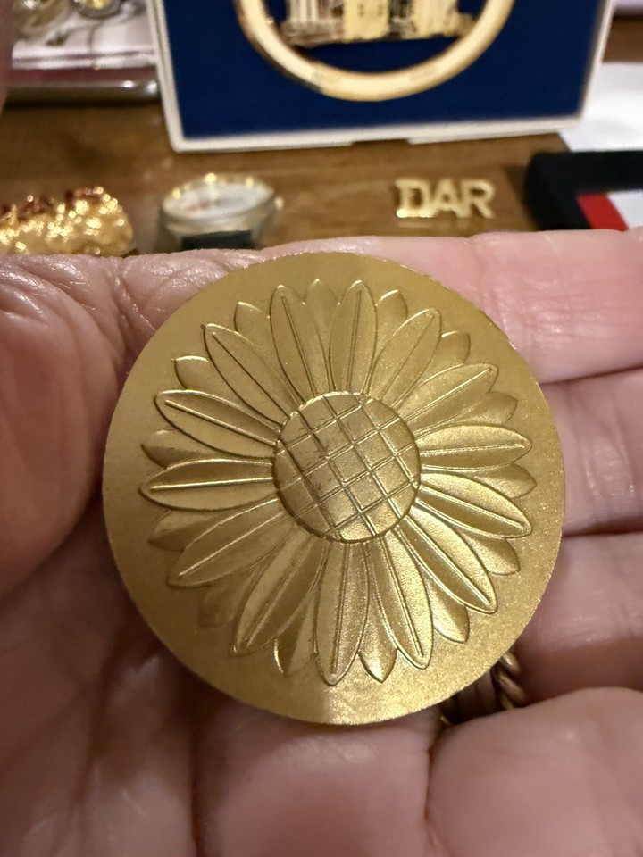 Daughters of the American Revolution DAR Insignia Pins Watch Bracelet ...