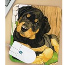 Rottweiler Mouse Pad | eBay
