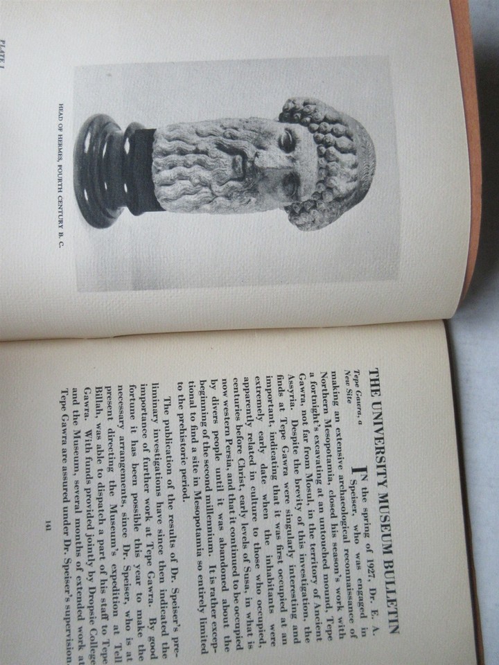 1931 March The University Museum Bulletin University of Pennsylvania ...