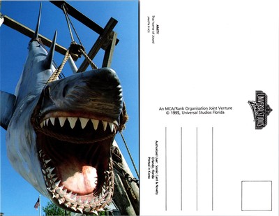 Universal Studios Florida Shark Postcard | eBay