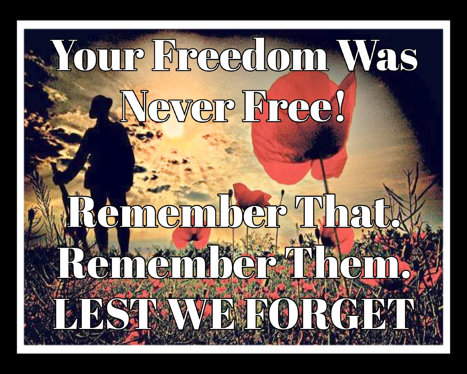 REMEMBER THEM LEST WE FORGET REMEMBRANCE DAY POPPY POPPIES METAL PLAQUE ...