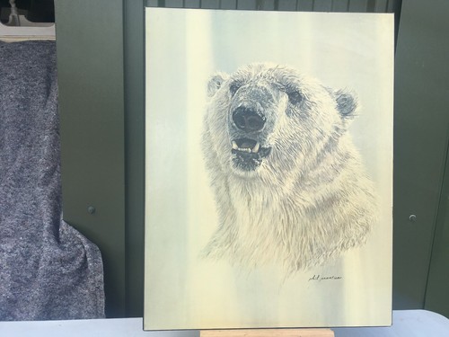 Large Vintage print on board polar bear by Phil prentice Lot BRE140618A ...