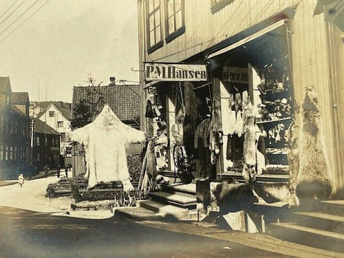 P.M. Hansen Shop Tromso Polar Bear hide etc Norway c1900 photo SS ...