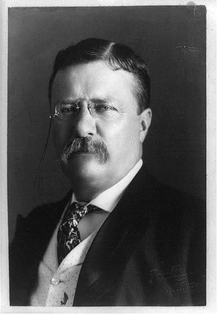 Theodore Roosevelt As A President