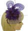 Spring Racing Race Party Melbourne Cup Feather Fascinator Headband ...