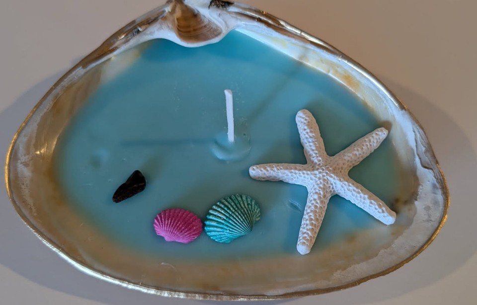 Large Majestic Atlantic Decorated Sea Shells with Wick & Shark Tooth | eBay