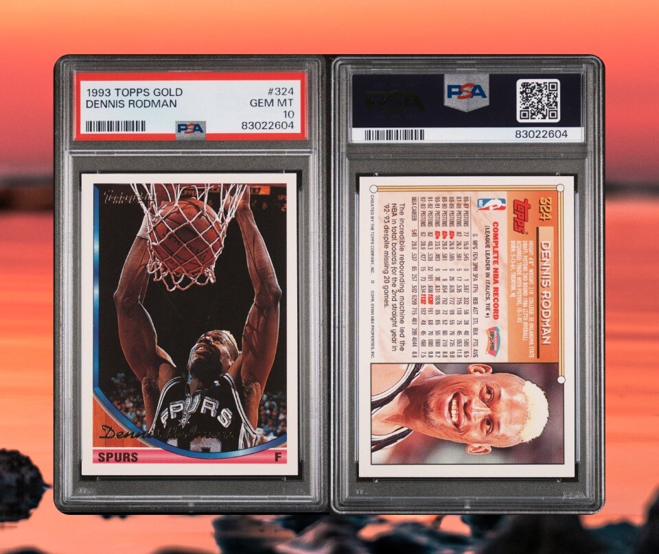 1993-94 Topps - Gold #324 Dennis Rodman for sale online | eBay