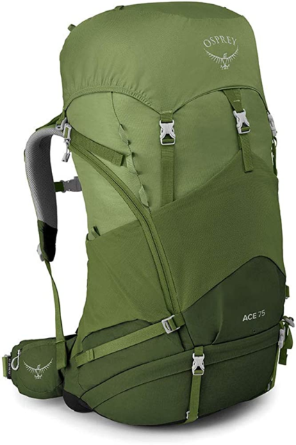 Osprey 10002076 Backpack - Green for sale online | eBay