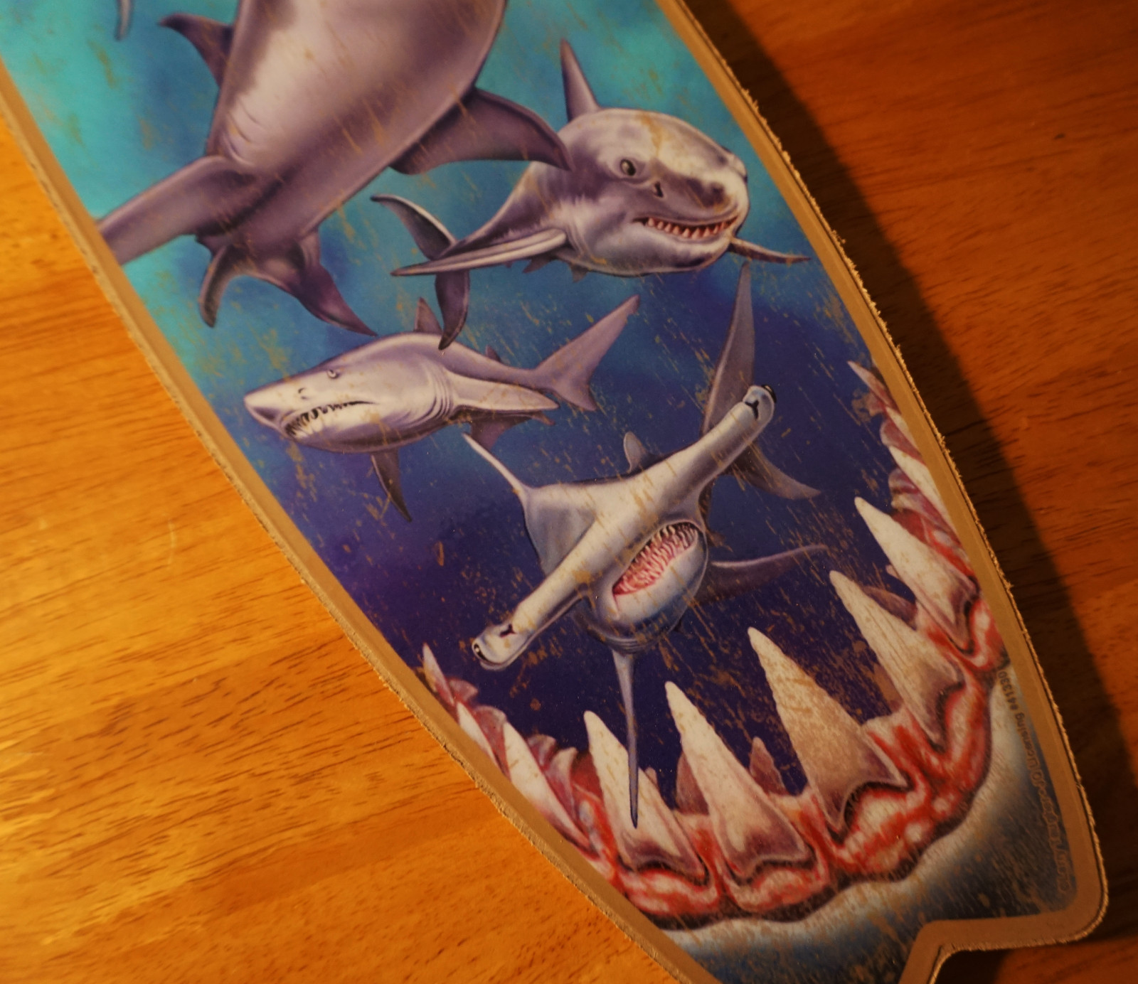 GREAT WHITE SHARK TEETH BITE SURFBOARD SIGN Beach Surfing Surfer Home ...