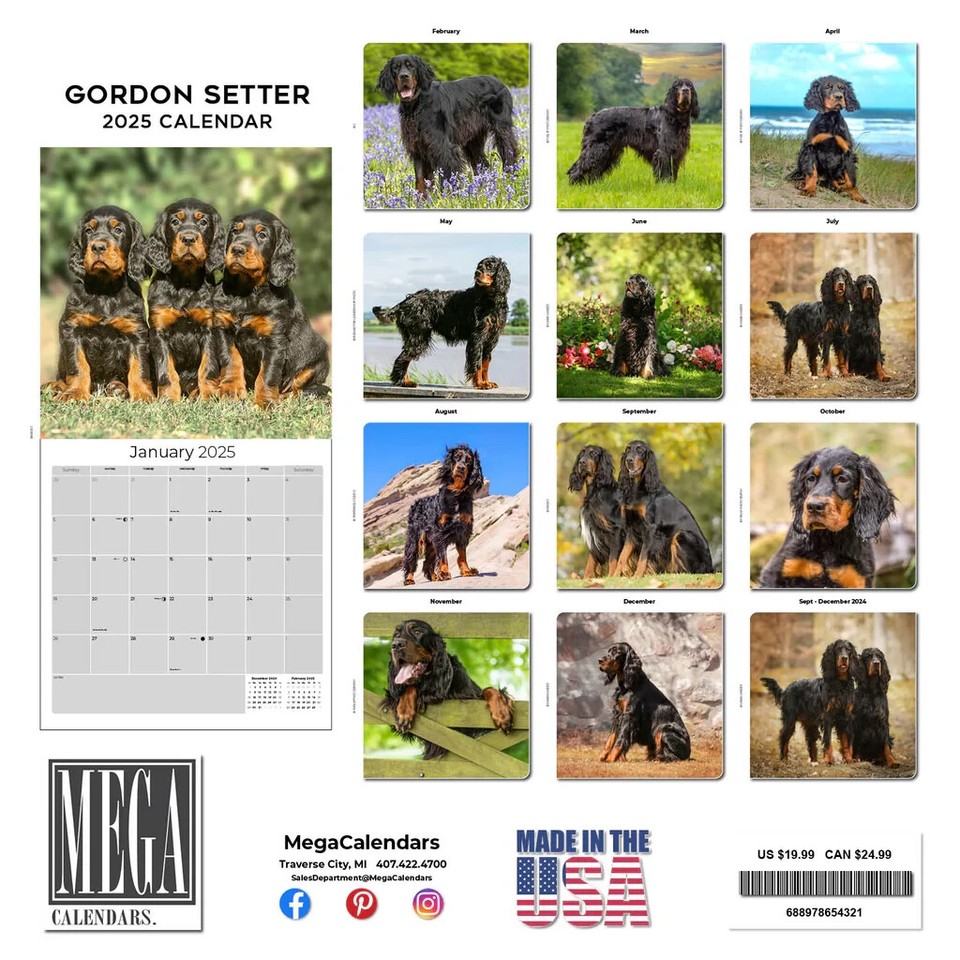 Gordon Setter Wall Calendar 2025 Animal DOG PET Lover Gift | eBay