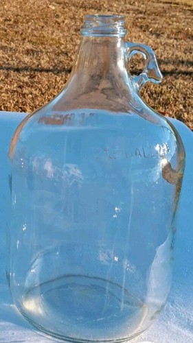 One Gallon Clear Jug Finger Loop Handle Unique Coin Change Jar | eBay