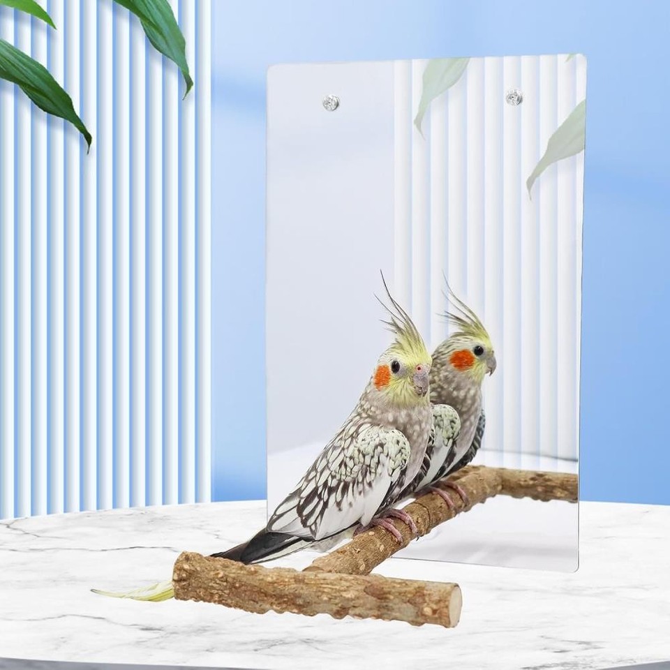 Large Bird Mirror Toy with Perch Stand, Parrot Parakeet Mirror with ...