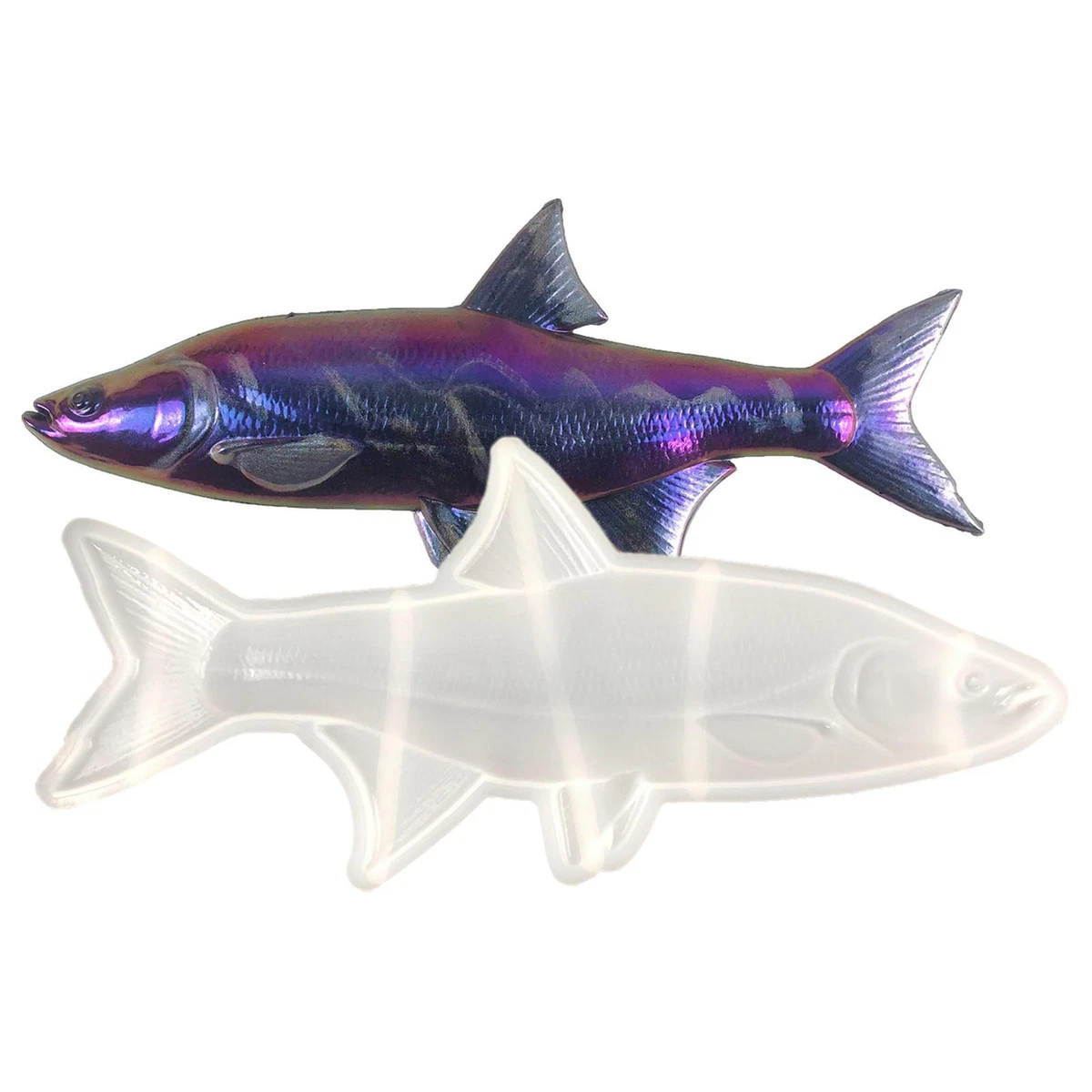 Water Mold On Fish