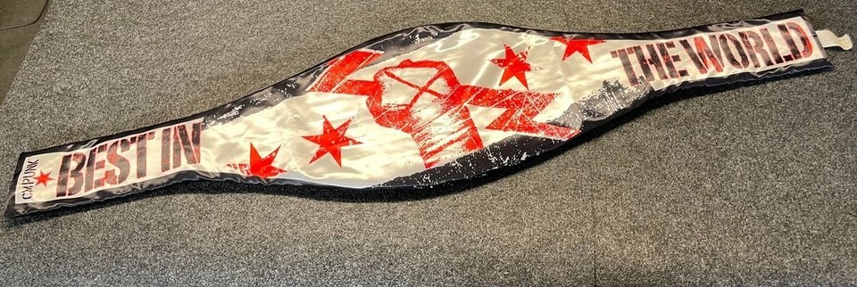 CM Punk WWE 52" Autograph 434 Days As Champ Signature Series Replica ...