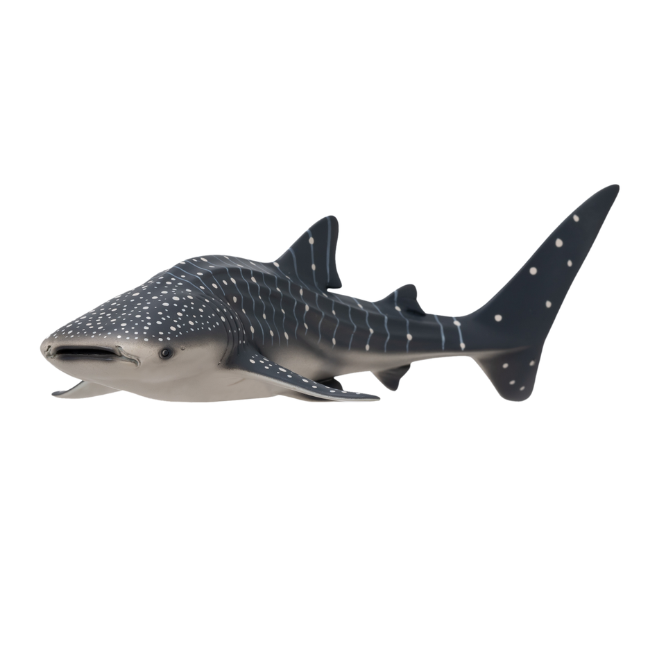 Mojo WHALE SHARK Wild zoo animals play model figure toys plastic ...