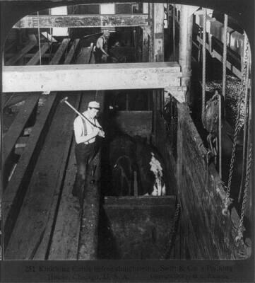 Meat Packing Industry,Chicago,Illinois,Swift & Company's Packing House ...