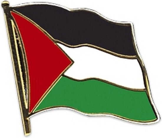 Pin's badge drapeau palestine Epingle Broche palestinien Flottant | eBay