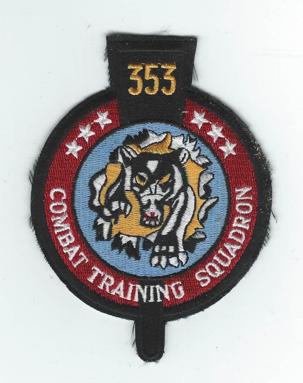 353rd COMBAT TRAINING SQUADRON patch | eBay